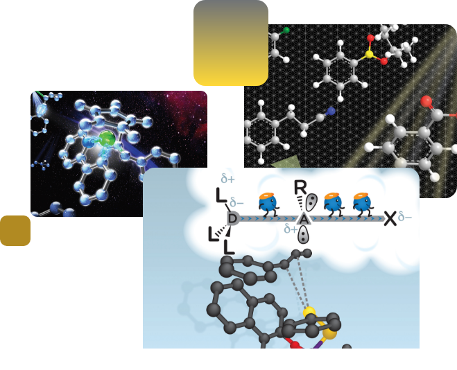 Organic Chemistry - American Chemical Society