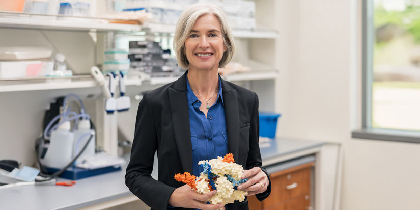 Discovery of Science Scissors Shapes Genetics - American Chemical Society