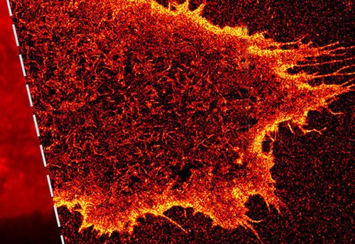 Light it Up - American Chemical Society