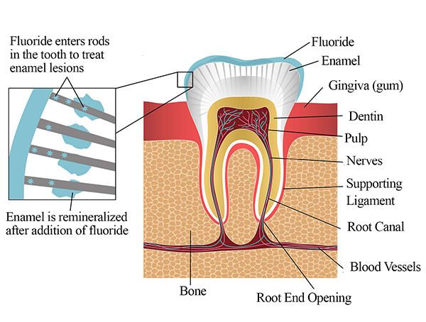 Crest: A Breakthrough in Oral Care - American Chemical Society