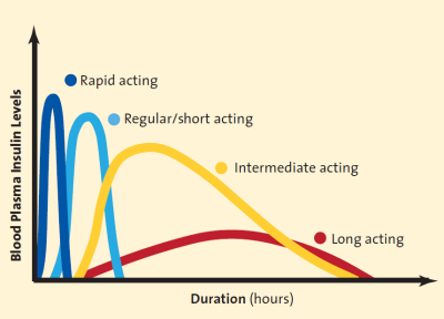 Insulin Development and Commercialization - American Chemical Society