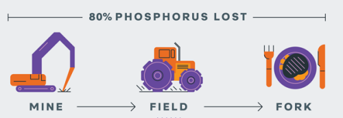 Phosphorus - American Chemical Society