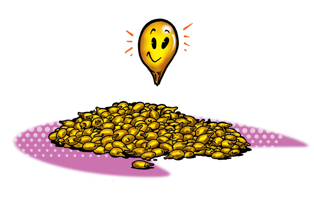 Popcorn Kernel Diagram