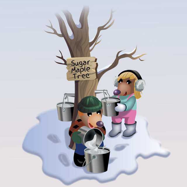 Tap the Sap: Maple Sweet Chemis-tree - American Chemical Society