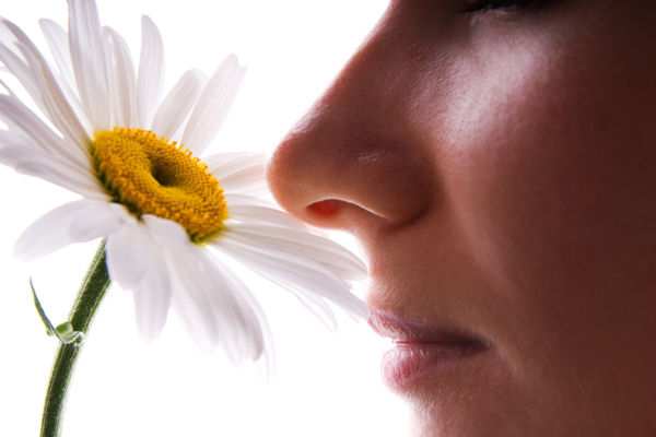 Why Your Sense of Smells Is Basically Infinite - American Chemical Society