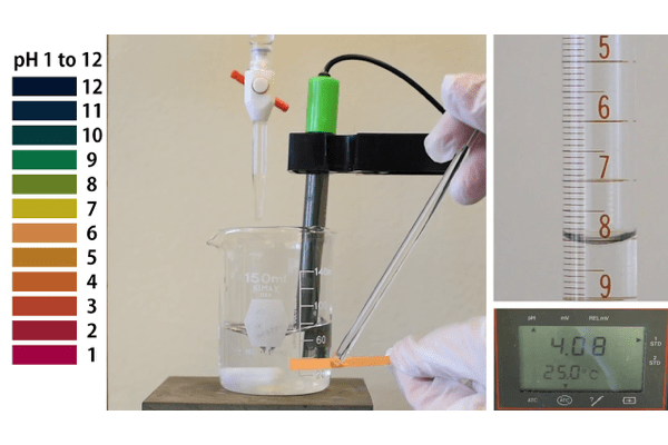 Neutralization Experiment - American Chemical Society