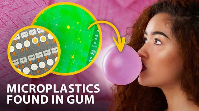 Microplastics found in chewing gum | Headline Science - American ...