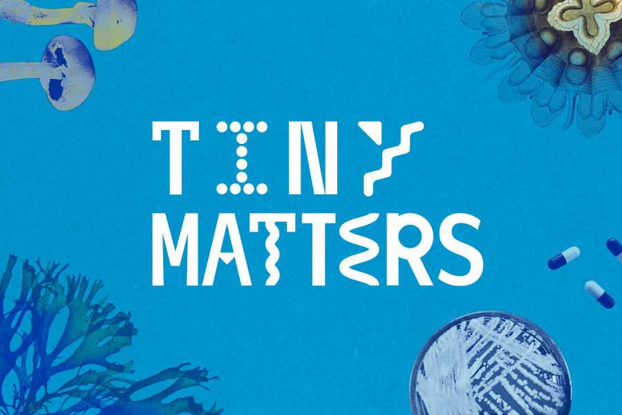 A fungal pandemic is unlikely in humans. That’s not true for other ...